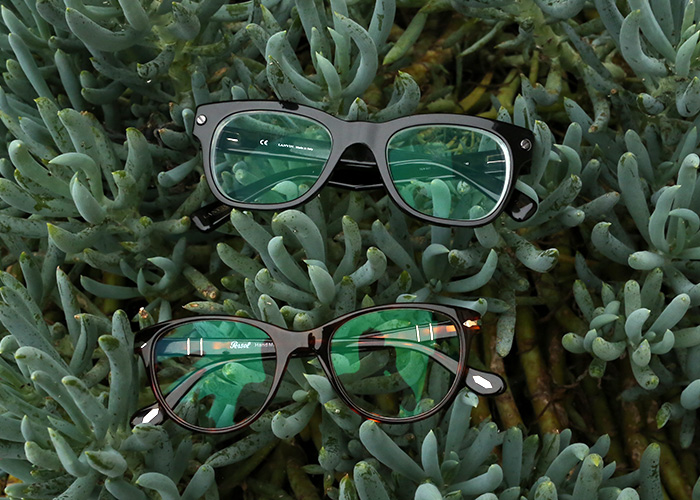 Picking the Perfect Eyewear on Glasses.com - nitrolicious.com